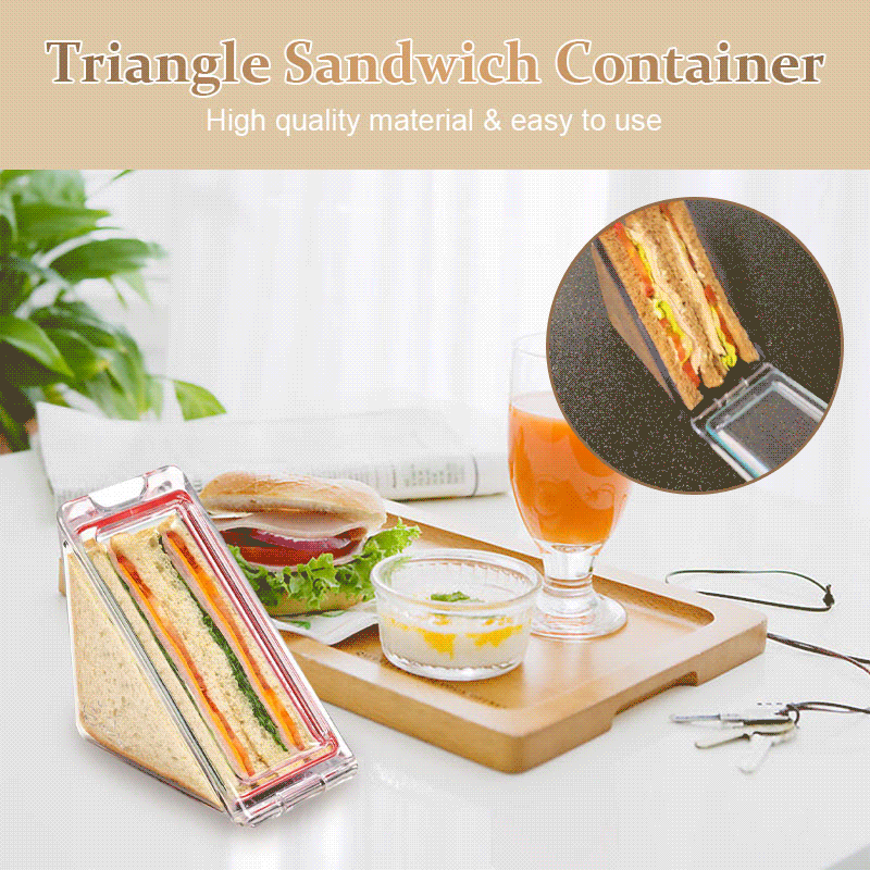 Triangle Sandwich Container – Enjoypunk.com
